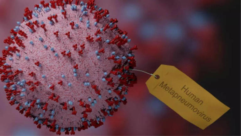 HMPV Virus Symptoms: These Are The Signs Of New Human Metapneumovirus ...
