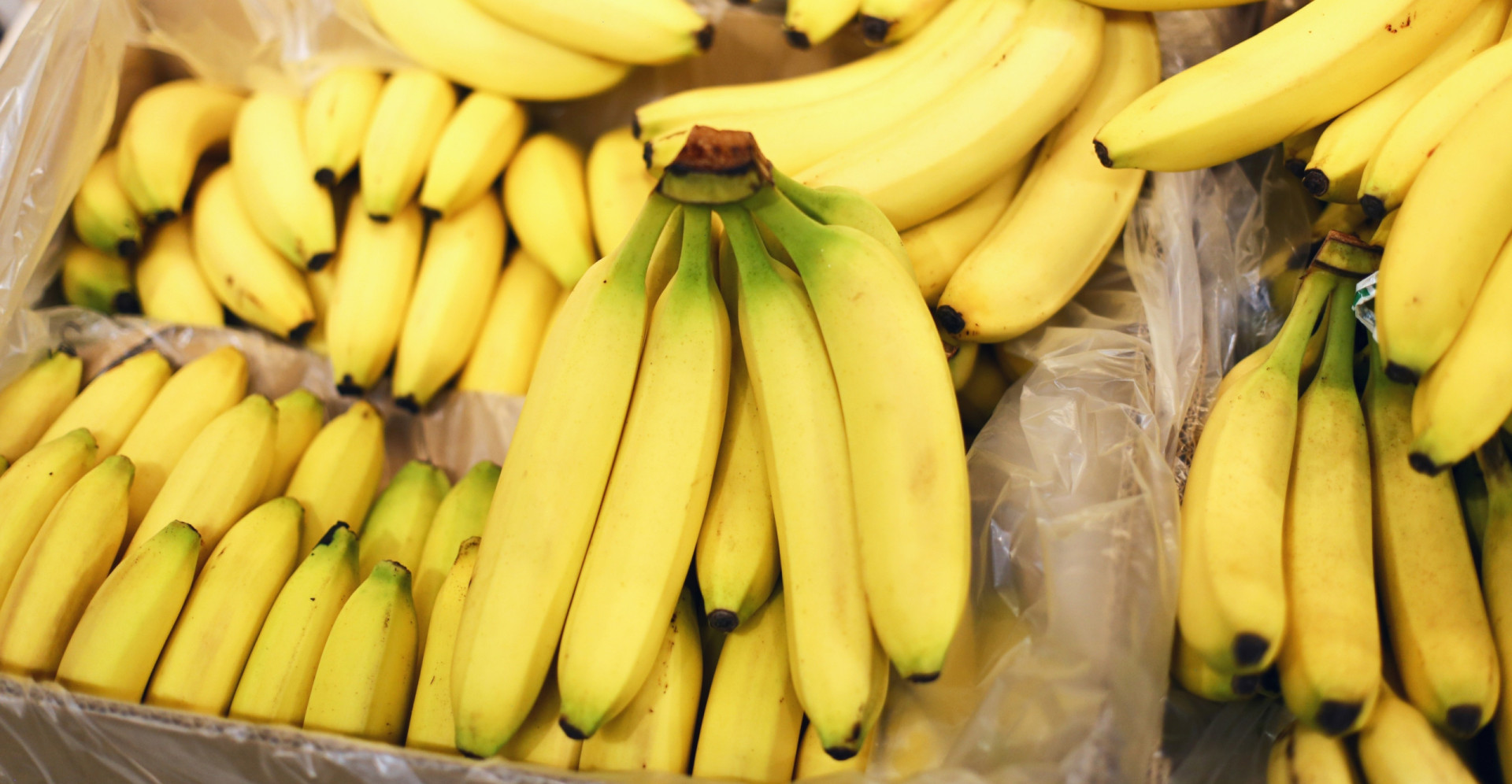 The complex history (and complicated future) of bananas