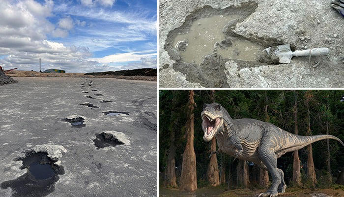 UNEARTHED! UK's largest dinosaur footprint site reveals tracks from 166 ... UNEARTHED! UK's largest dinosaur footprint site reveals tracks from 166 ...