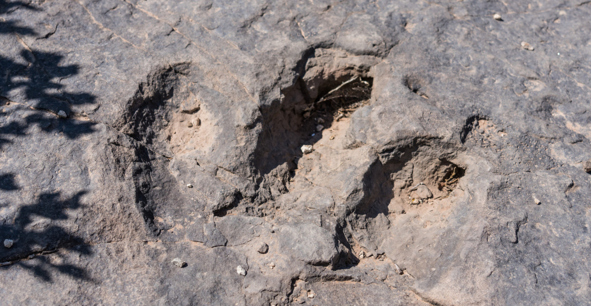 The best places around the world to see dinosaur tracks