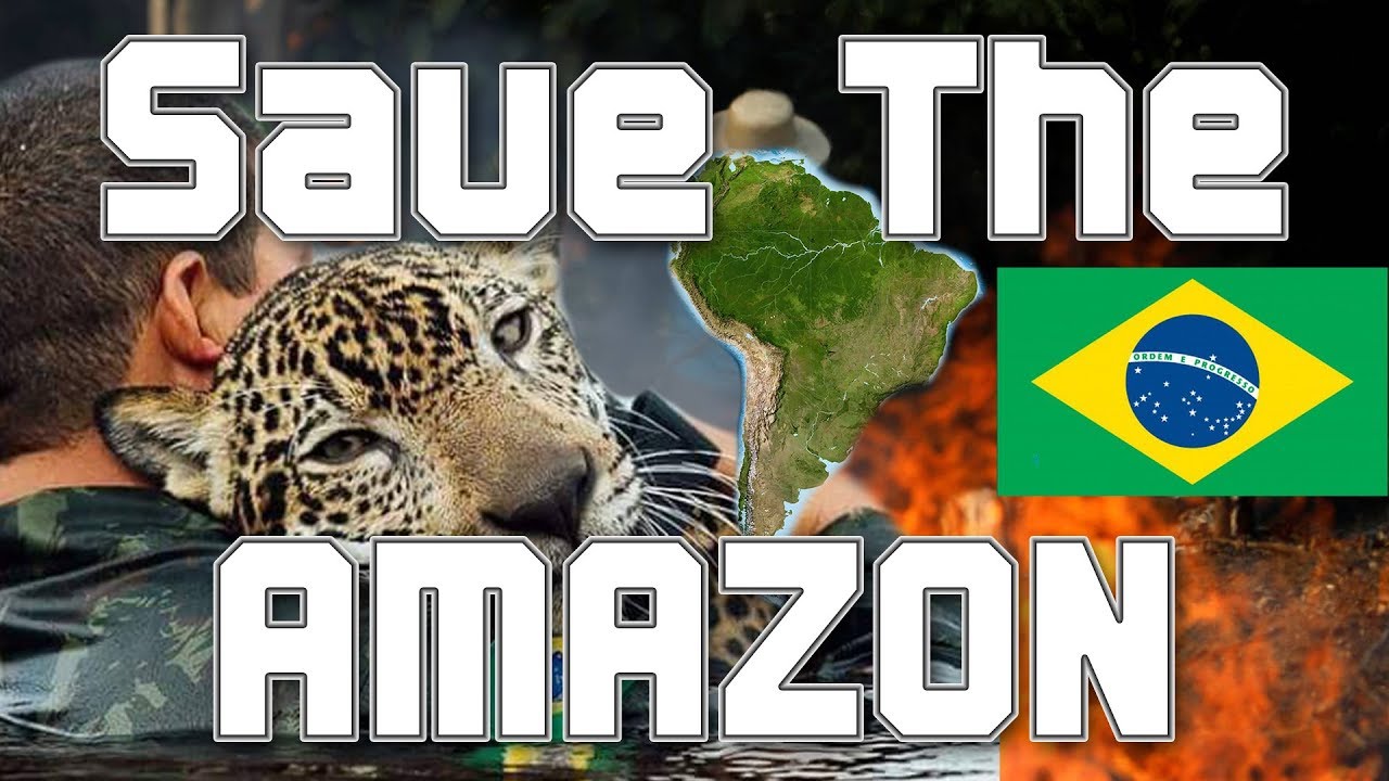 How to Save the AMAZON