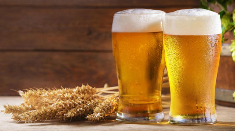 We Asked A Cicerone: Here's How To Choose The Best Type Of IPA Beer For You