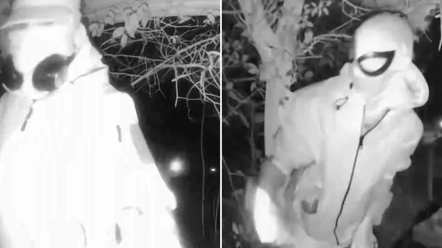 Doorbell captures moment Spider-Man mask wearing stalker leaves gift Doorbell captures moment Spider-Man mask wearing stalker leaves gift