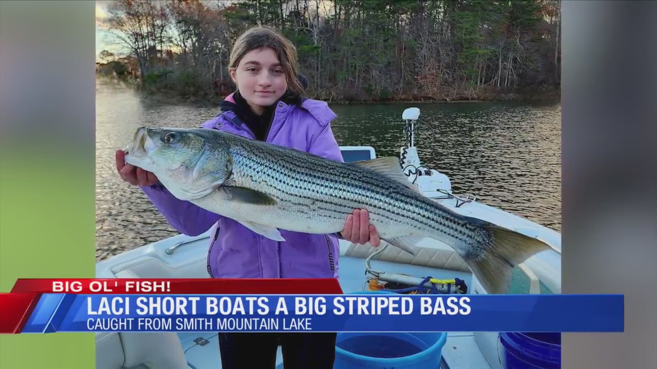 Big Ol'Fish: Friday, January 3