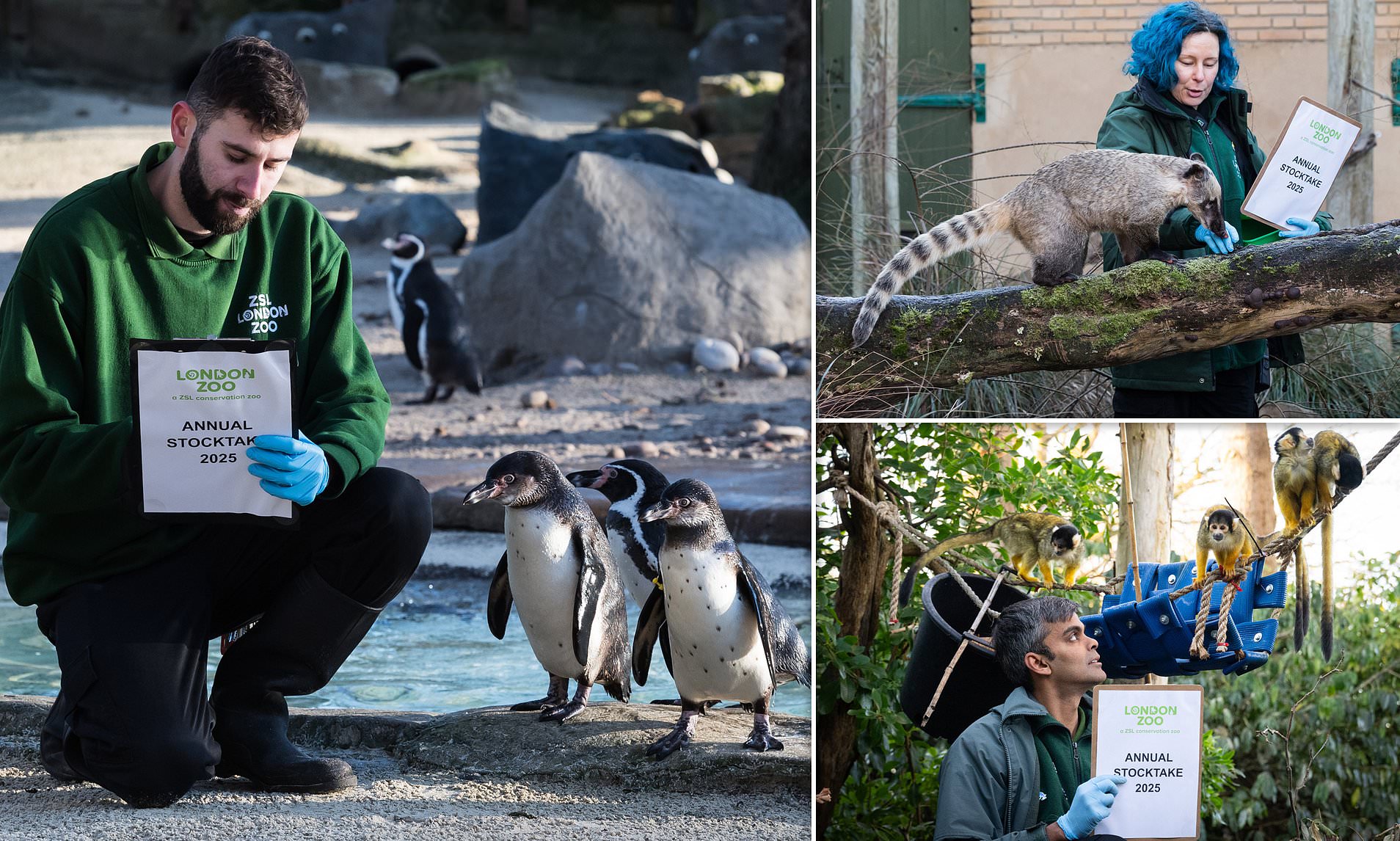 London zookeepers take tally of all the animals in their care