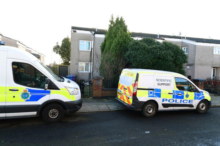 She led 'blameless life' but five years later she was in court for murder