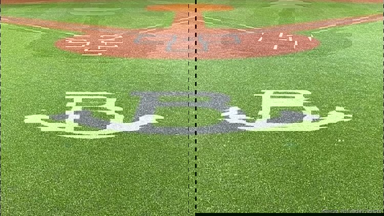 NFL owner's firm buys North Texas baseball ranch