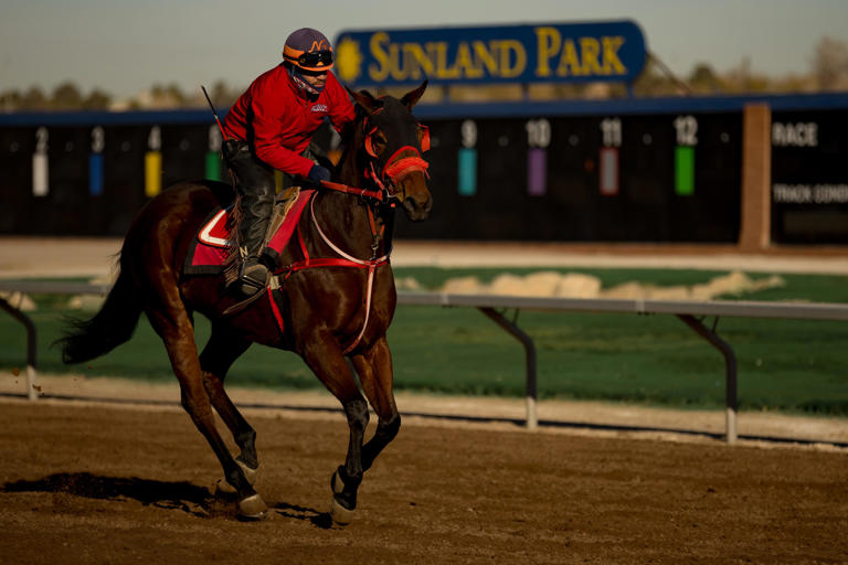 Sunland Derby highlights 65th year of horse racing at Sunland Park ...