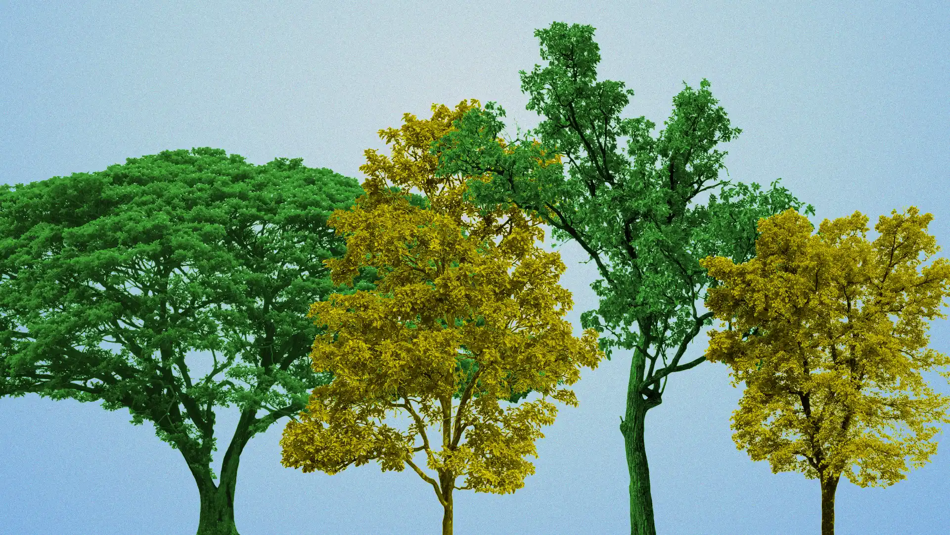 Merkle Trees vs. Verkle Trees: Key Differences Explained