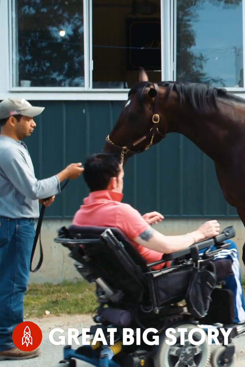 Triomphe sur la tragédie, le voyage d'Andrew Lakeman avec les chevaux