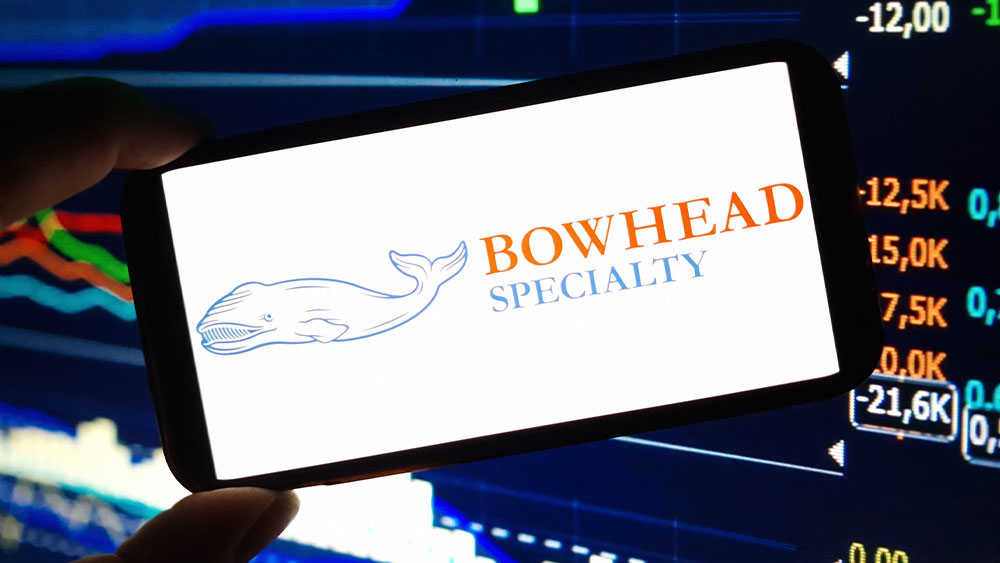 IPO Stock Of The Week: Insurance Leader Bowhead Tests Critical Support ...
