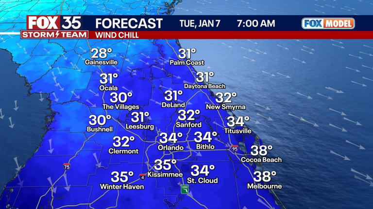 Orlando weather: Could arctic blast bring snow to Florida?