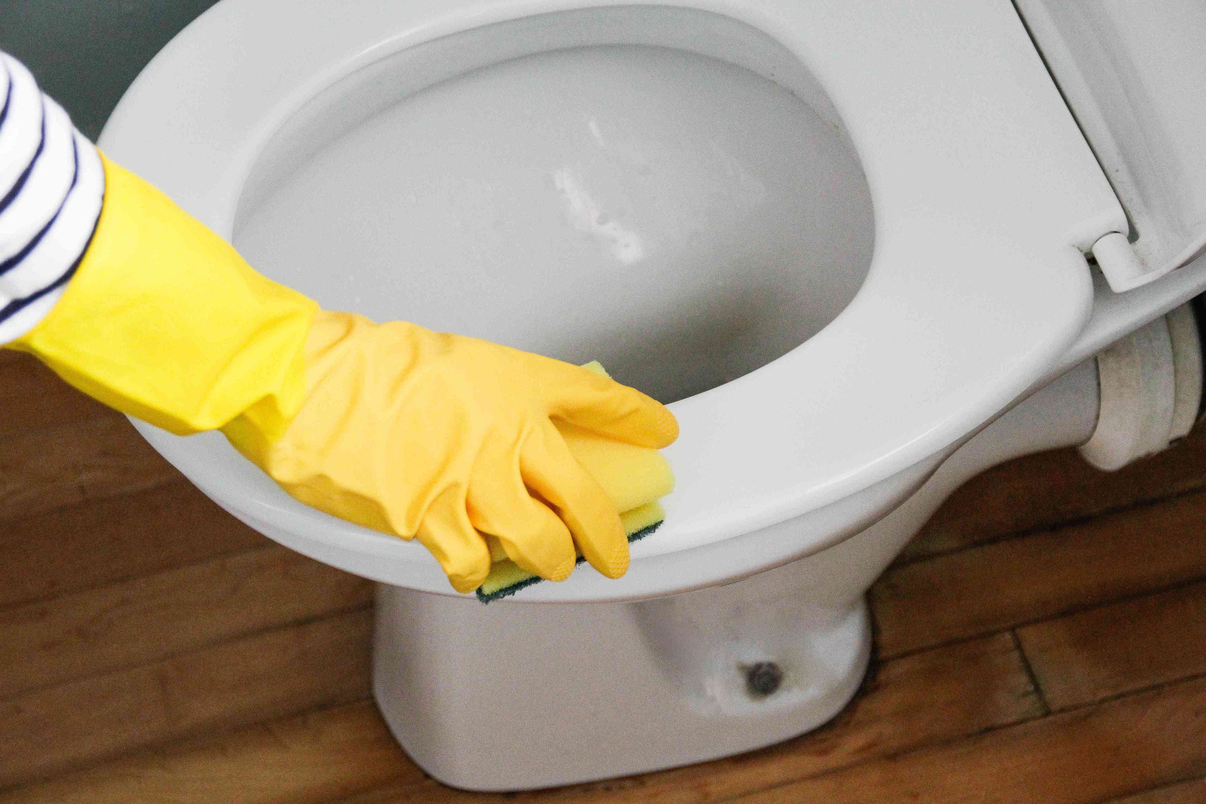 How To Clean Mold From A Toilet Base