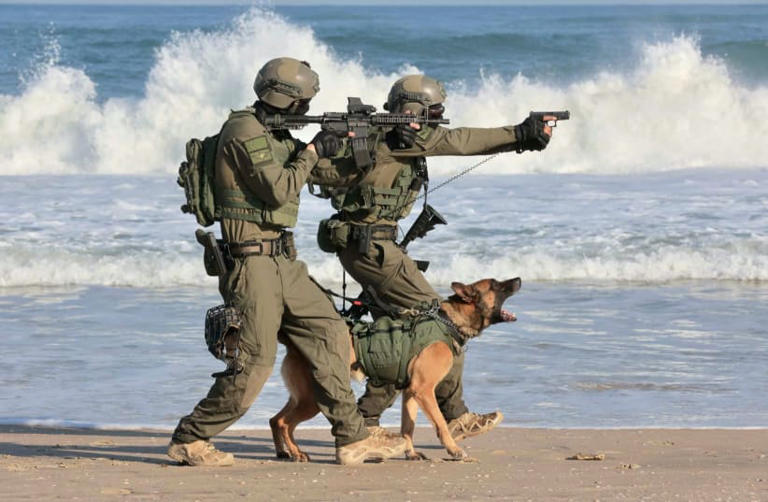 K-9 key roles: US military can learn from IDF Oketz unit, expert says