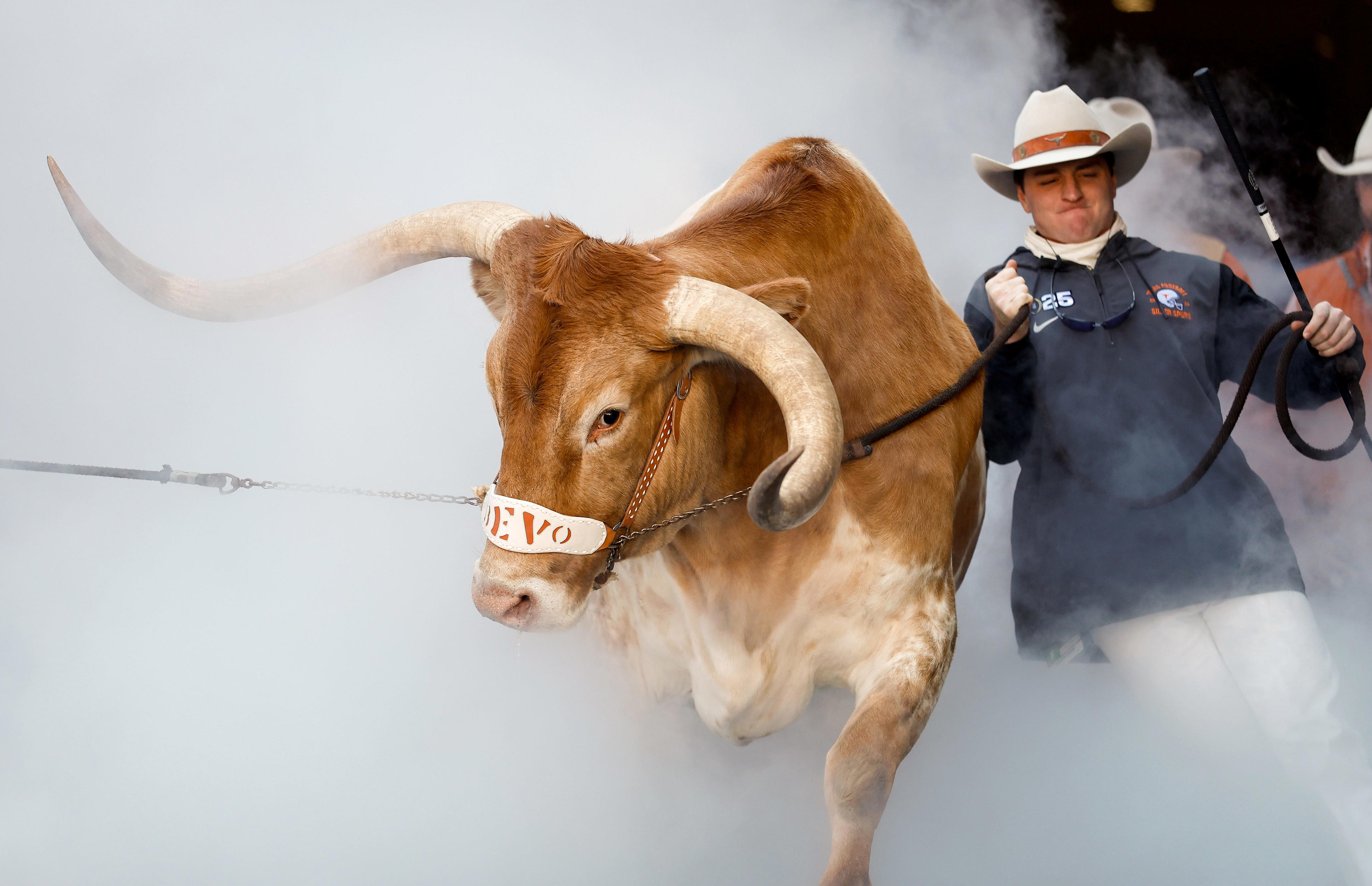 Bevo is Back! Texas mascot will return to sideline for CFP Semifinal in ...