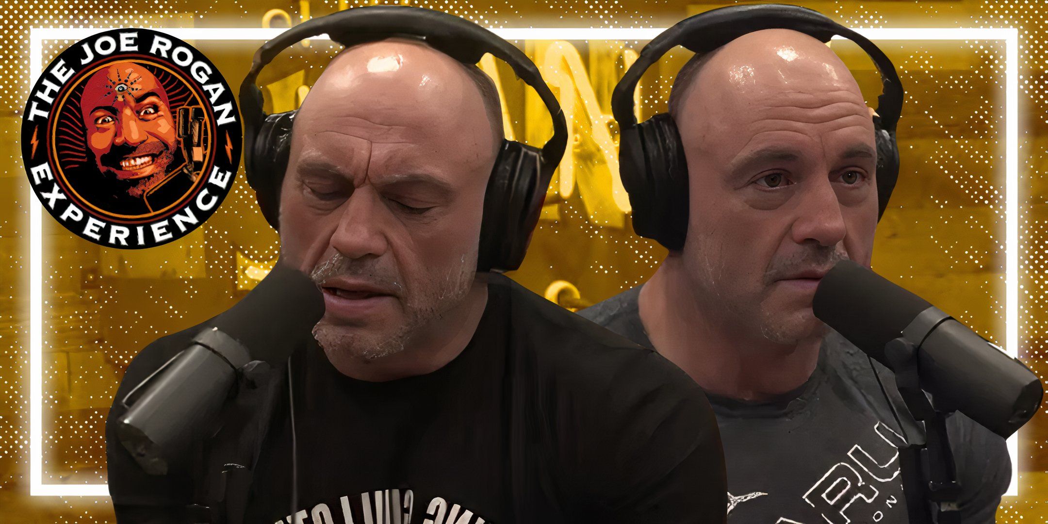Joe Rogan Had Fans Wondering If He Is 'Insincere'