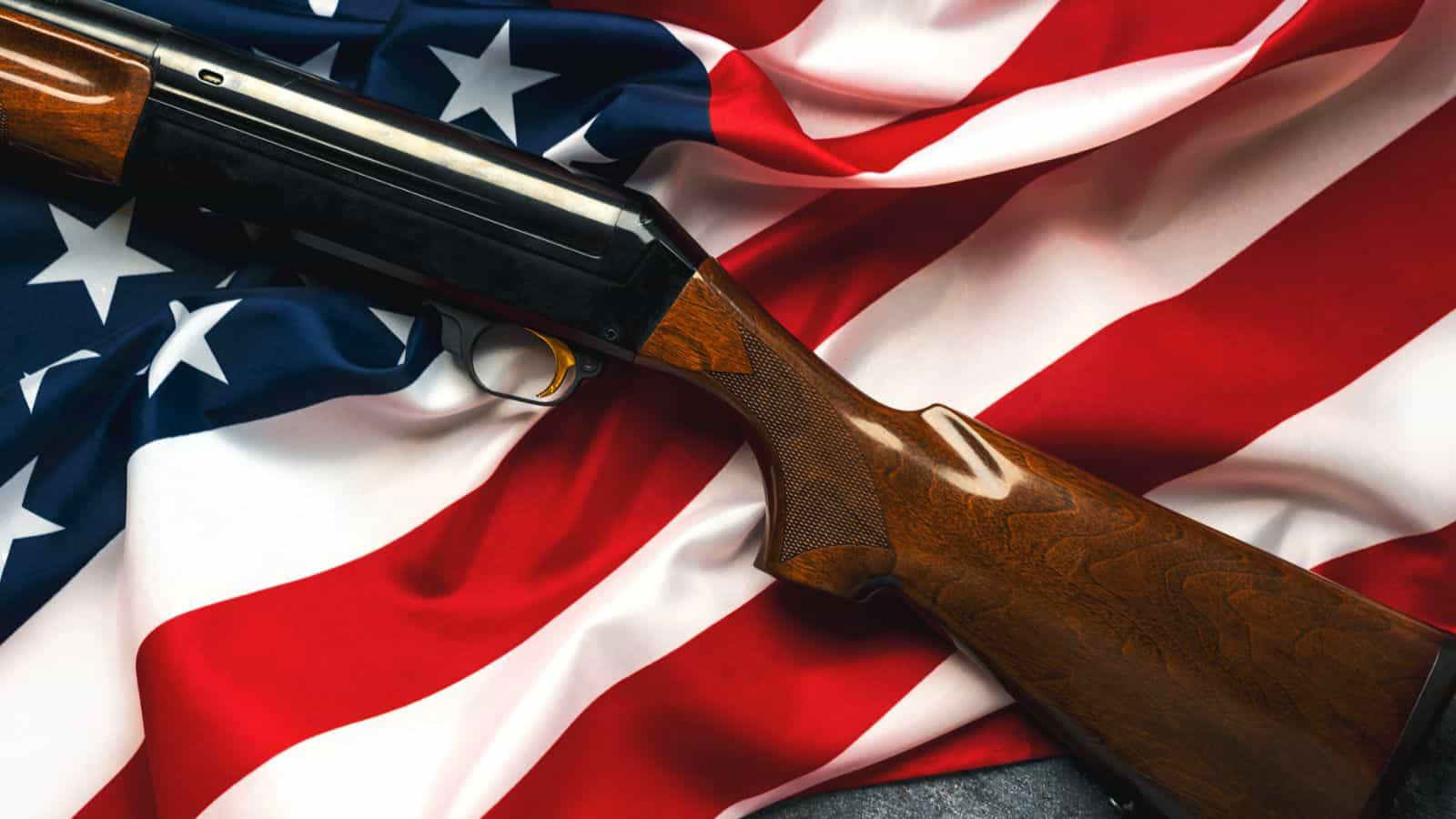 16 Reasons Why Americans Don’t Want to Give Up Firearms 16 Reasons Why Americans Don’t Want to Give Up Firearms