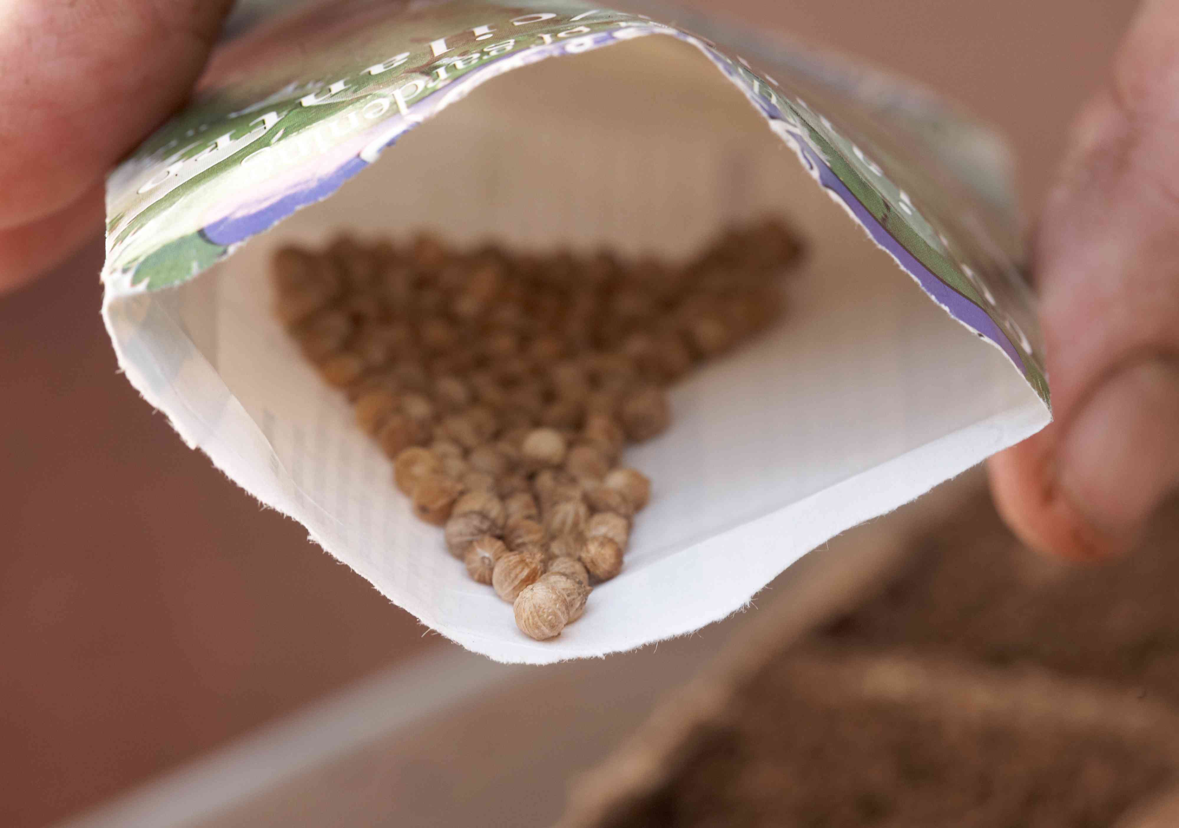 When to start seeds indoors for a successful spring garden