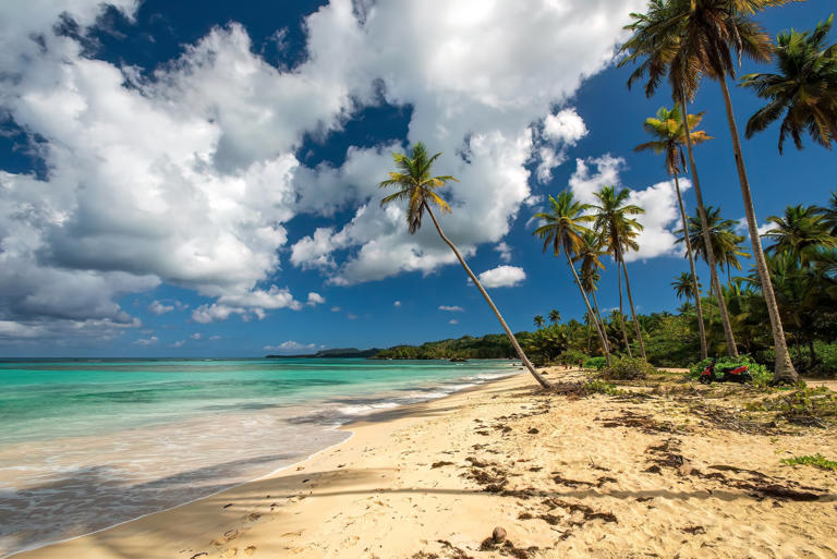 Les 5 plus belles plages de la République dominicaine pour un séjour ...