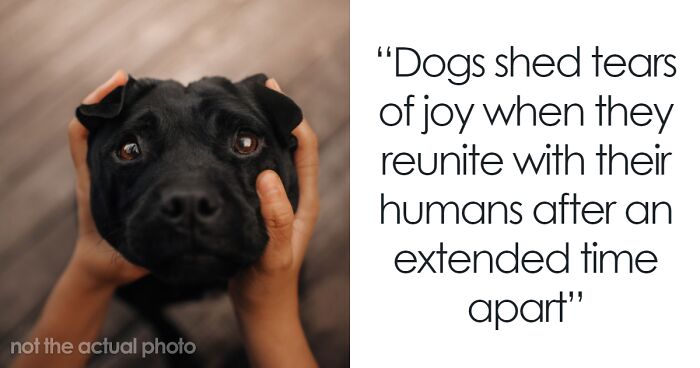 “Did You Know?”: 28 Of The Most Interesting Random Facts About ...