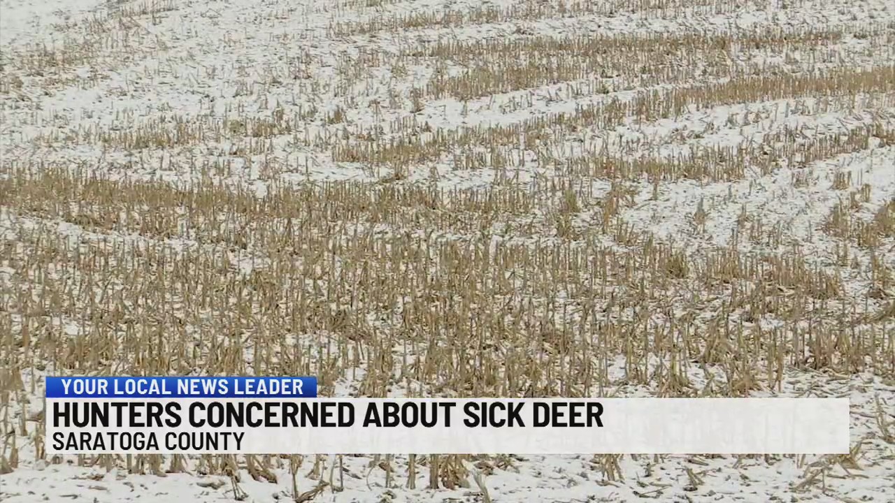 Hunters concerned about sick deer