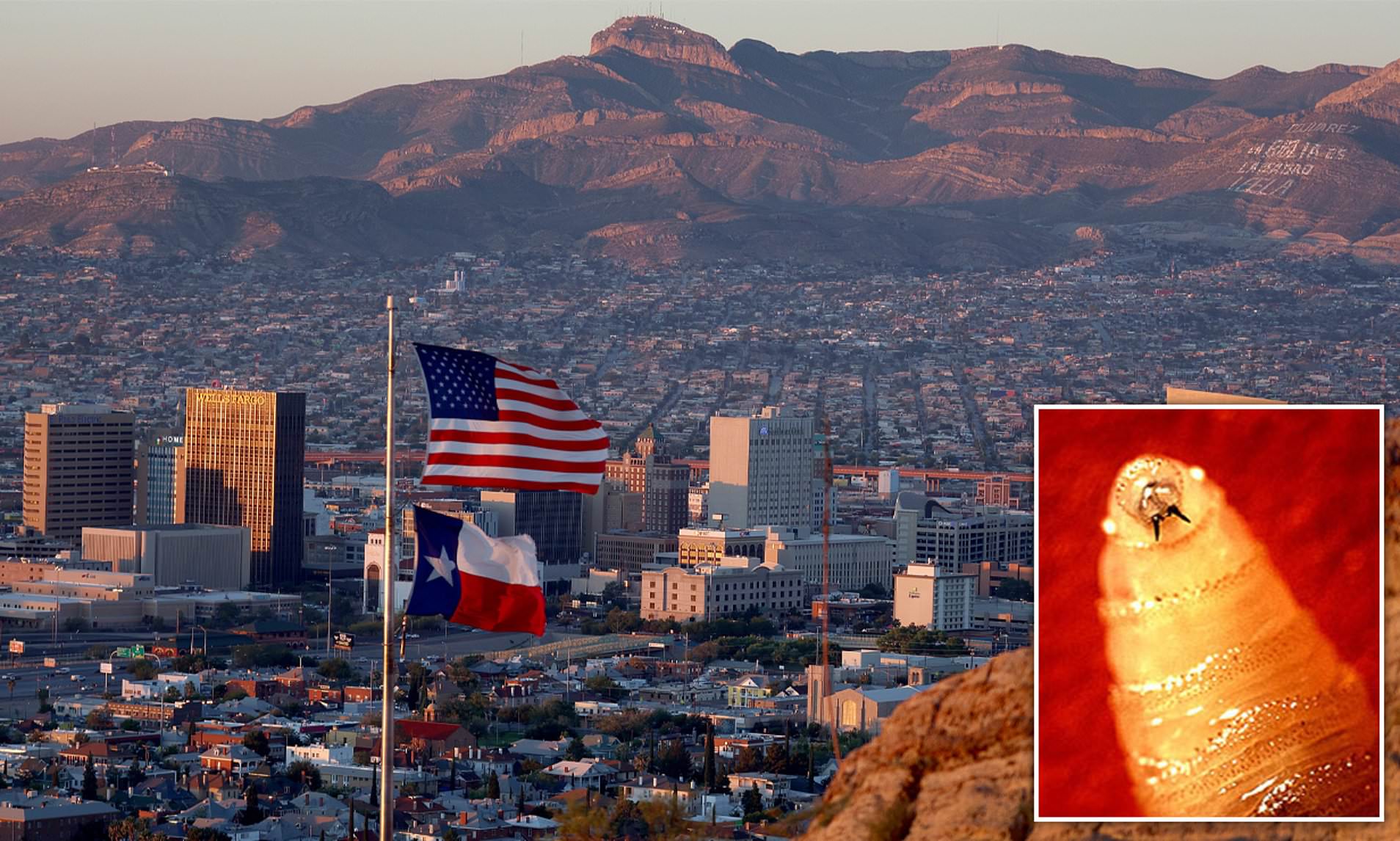 Terrifying flesh-eating animal on the rise in Southern state