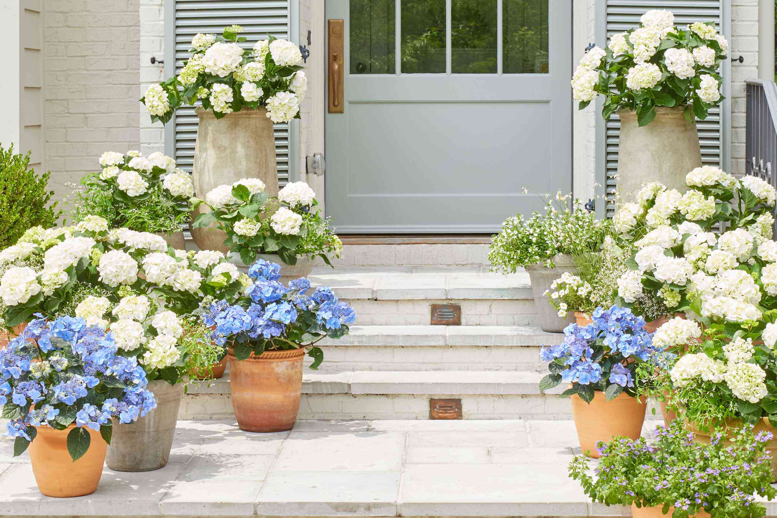 How To Maximize Your Year-Round Curb Appeal