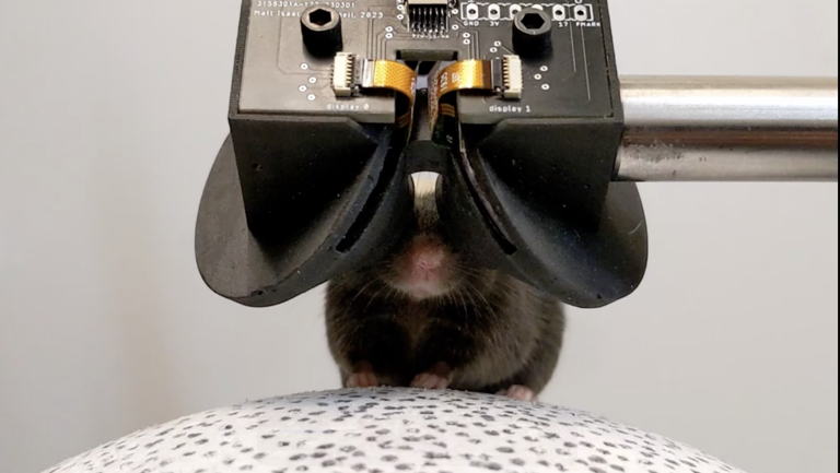 MouseGoggles are tiny VR headset for mice