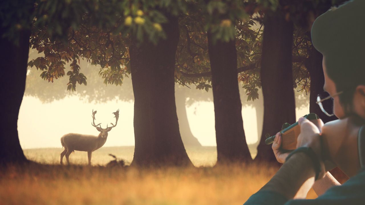 Deer Hunting Made Easy: Expert Tips on Where to Aim for the Perfect Shot