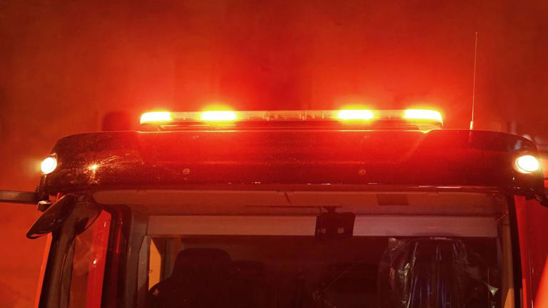A29 cortada no sentido norte/sul devido a incêndio em camião na zona de ...
