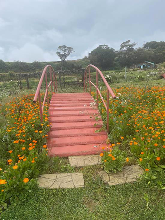 Baguio’s hidden gems: Kidlat’s wonderful warren, a secret gallery and ...