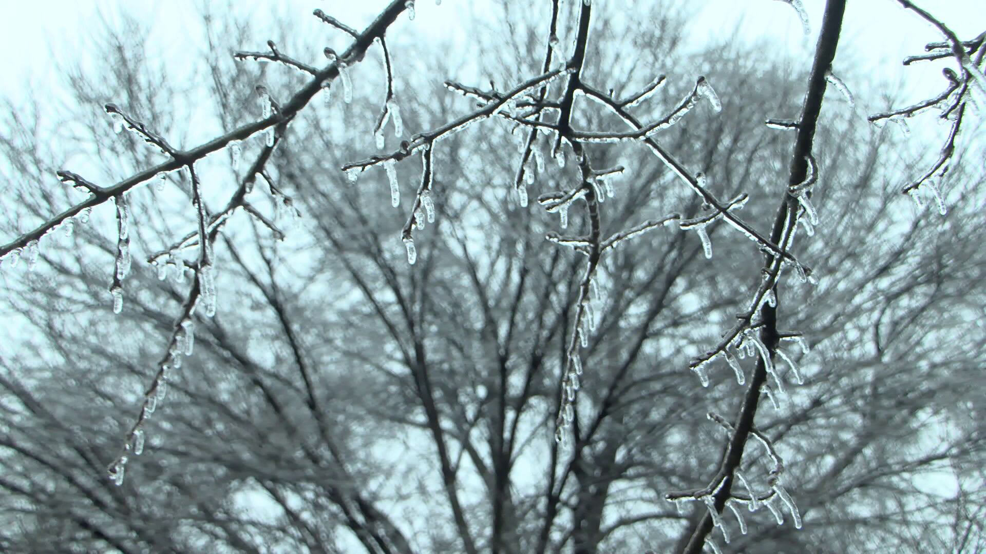 Lawrence cancels buses, closes city buildings during winter storm Lawrence cancels buses, closes city buildings during winter storm
