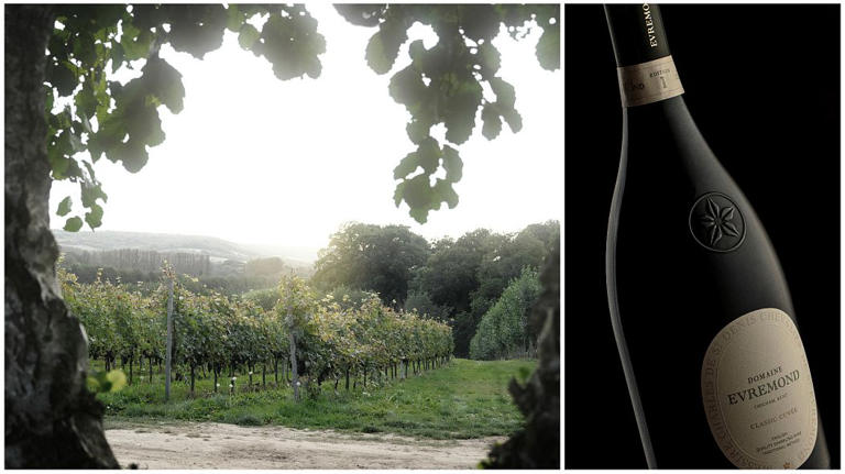 Why French winemakers are buying up huge swaths of land in Southern England