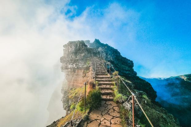 Leader Camera Club members deliver a breath of fresh air