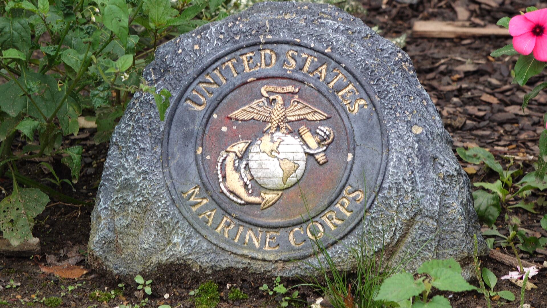 Eastern NC military installations increase security in light of New ...