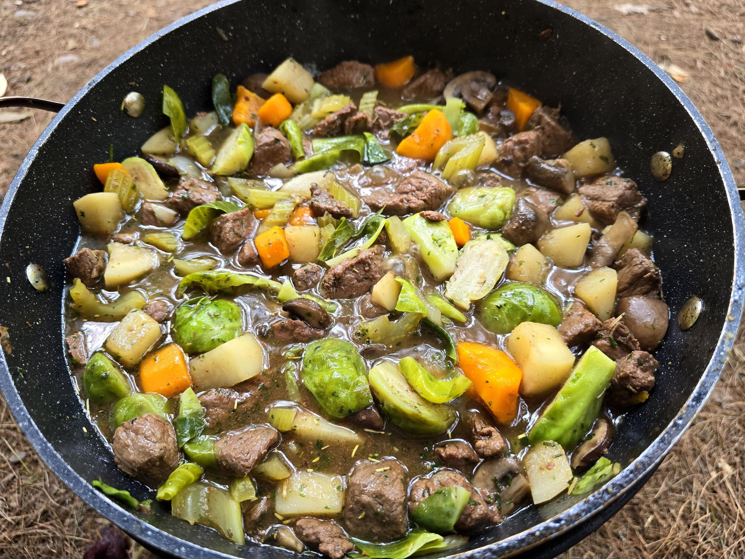 Hearty Campfire Beef Stew