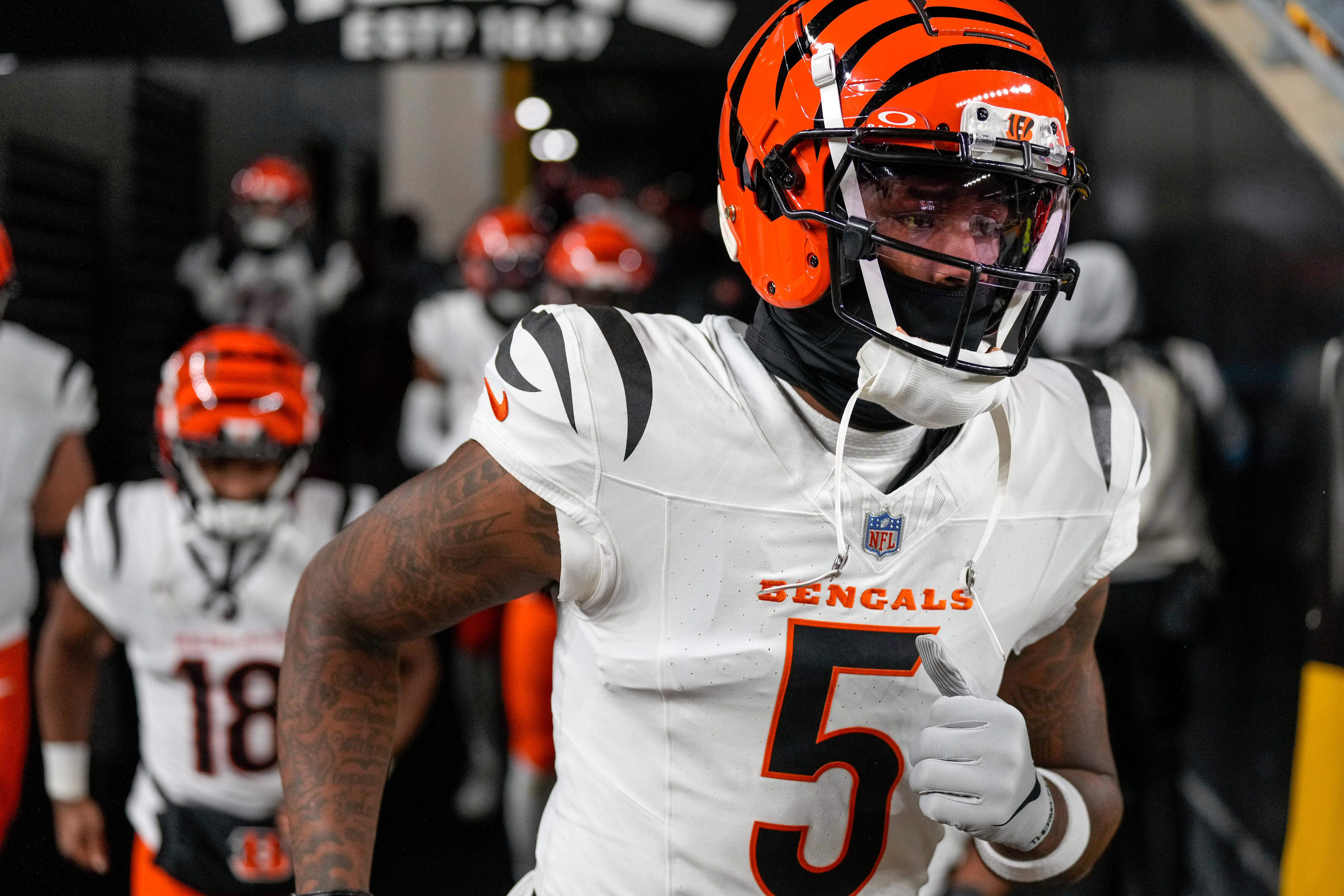 Cincinnati Bengals wide receiver Tee Higgins ranked as NFL's top free ...