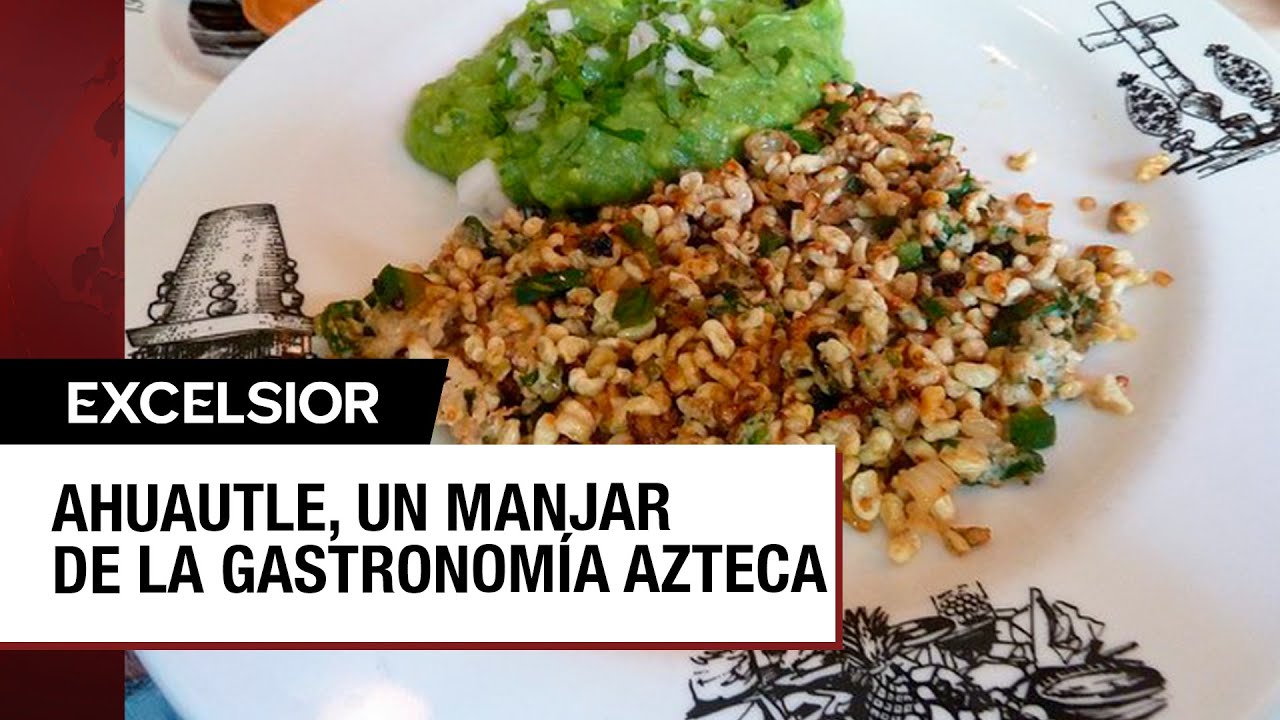 Ahuautle, alimento prehispánico considerado el caviar mexicano