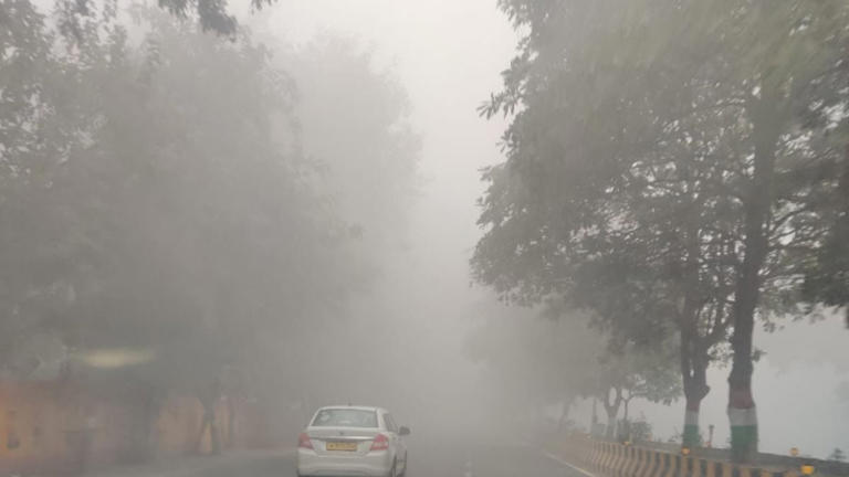 MP January 16 Weather Updates: Dense Fog Envelops Nine Districts, Brace ...