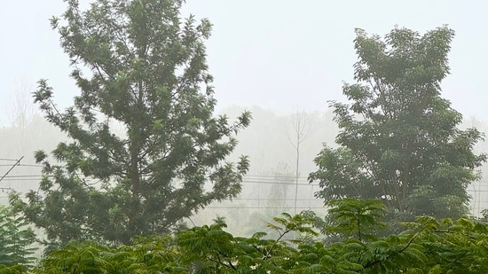 Bengaluru wakes up to dense fog and chilly temperatures as cold wave hits Bengaluru wakes up to dense fog and chilly temperatures as cold wave hits