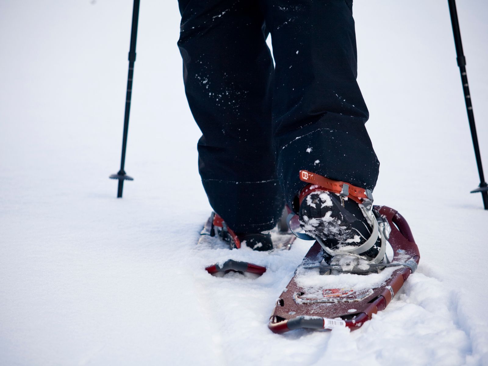 Snowshoeing in Minnesota