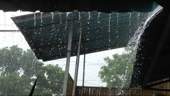 MSN Indonesia | Berita Terkini Hari Ini, Foto, Video, Skype, Email ...