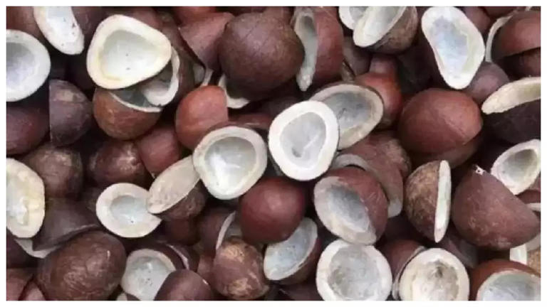 4 Ways to remove Coconut Shell in just a few minutes