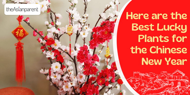 Spruce Up Your Home with These Lucky Plants for the Chinese New Year