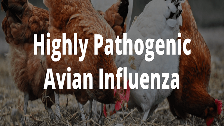 H5N1 Hits Charles County, State Urges Biosecurity