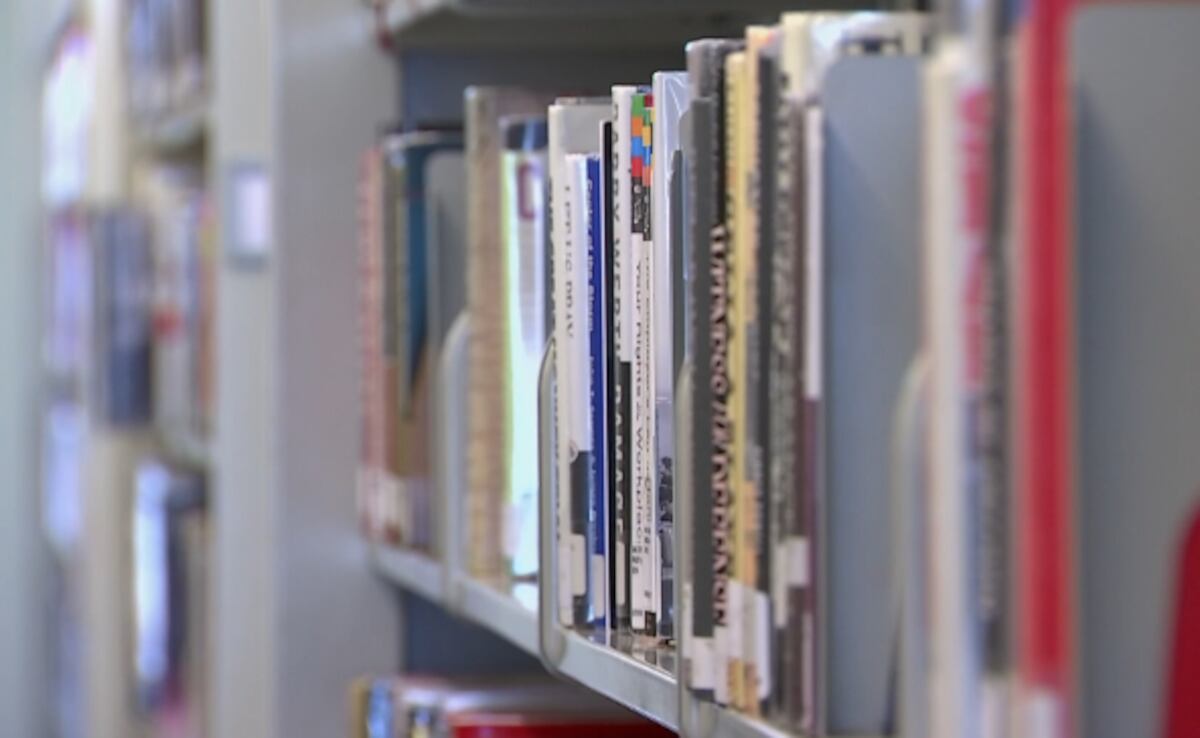 S.C. lawmaker pushes for restrictions on some library books
