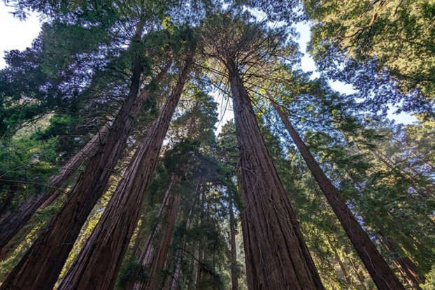 15 California Hidden Gems You’ve Probably Never Heard Of 15 California Hidden Gems You’ve Probably Never Heard Of