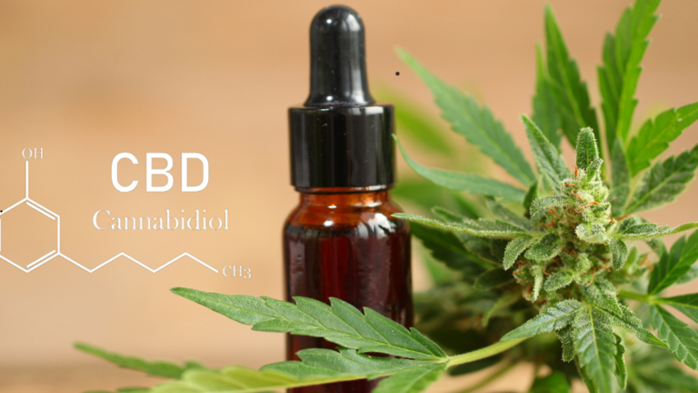 What Is The Difference Between CBD And THC?