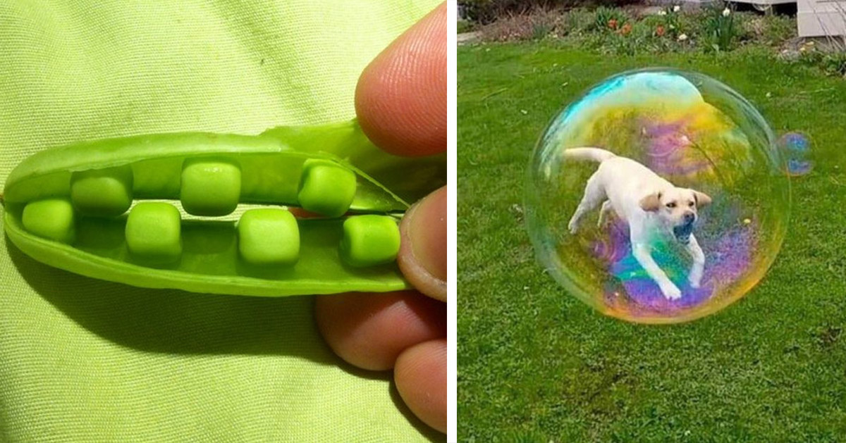 30 Interesting Images of Unique Sights