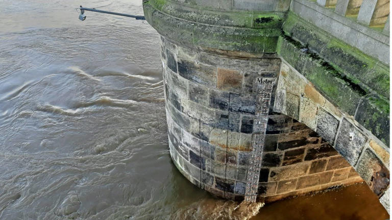 Der aktuelle Wasserstand der Elbe bei Torgau